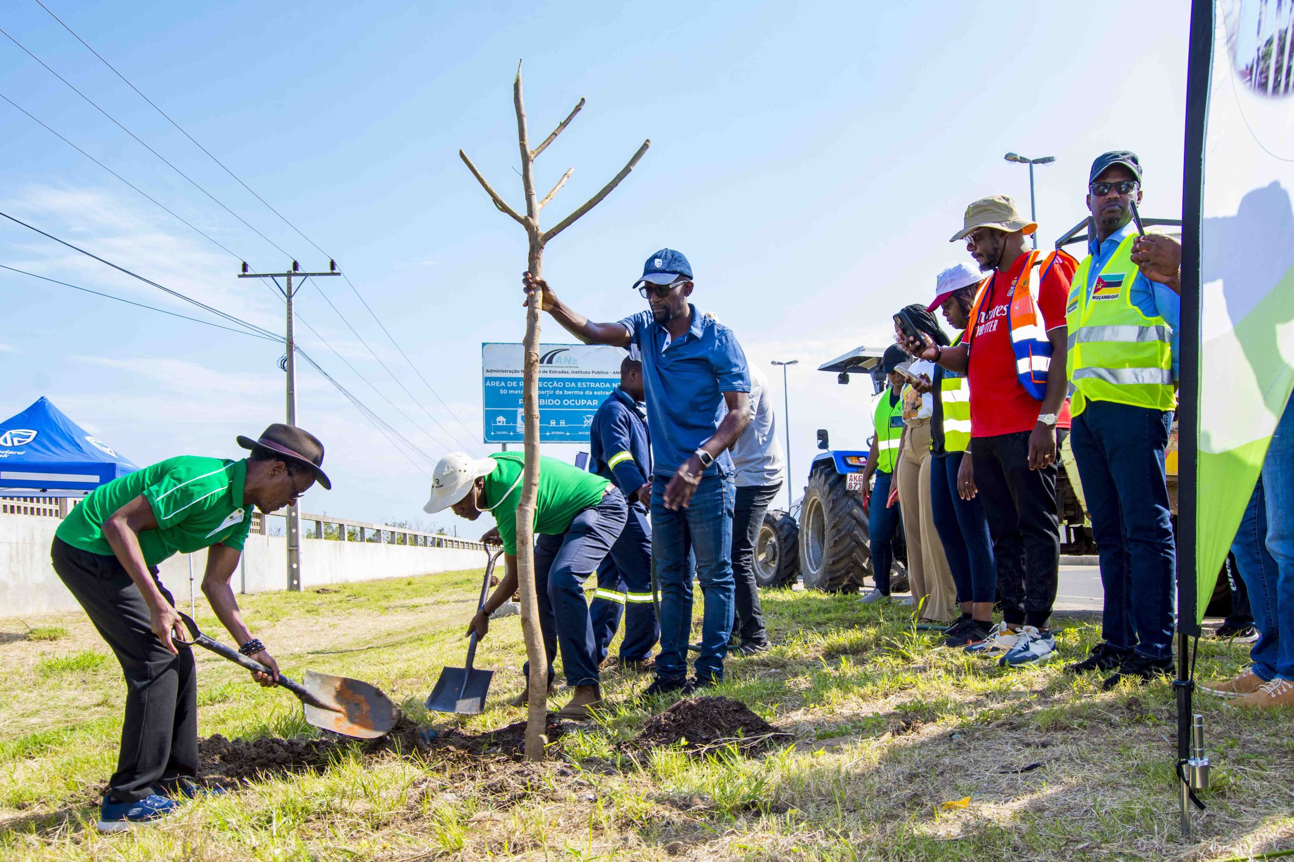 “Txuna Maputo com o Verde”: Mais de 2.000 árvores de sombra vão ser ...